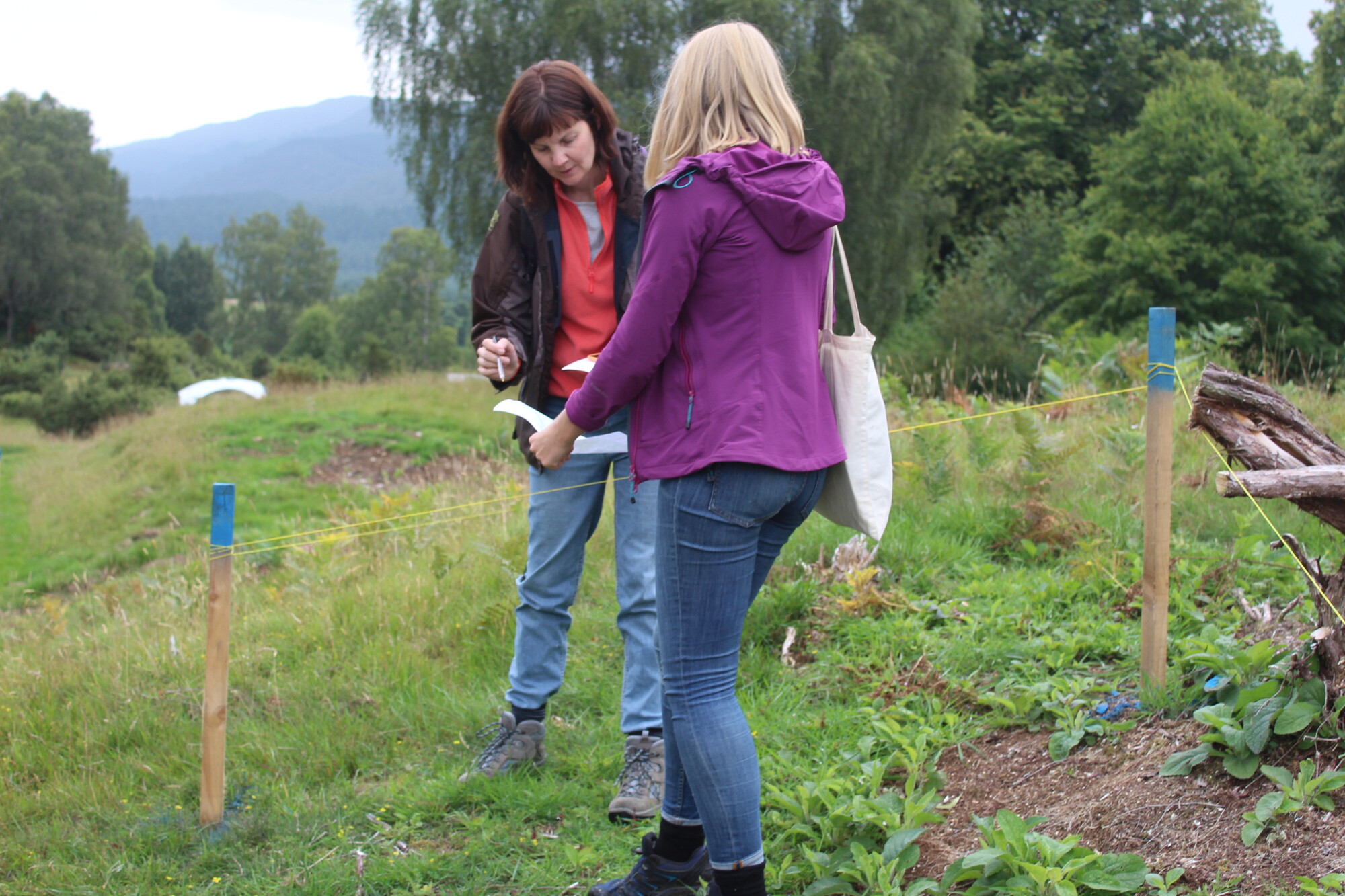Work on the Dundreggan Rewilding Centre gets underway – CMC Associates Ltd